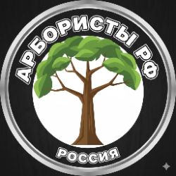 Иконка канала Арбо