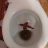 Иконка канала Бешеная Какашка