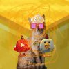 Иконка канала elol Кэт9ка(ᵔᴥᵔ)
