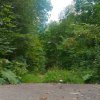 Иконка канала ✨Хома Дома 🪻