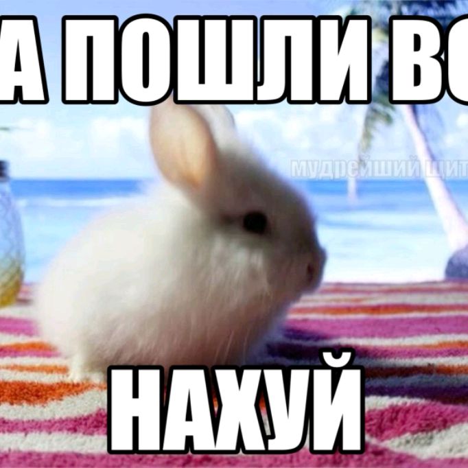 Иконка канала Sakur.aa