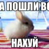 Иконка канала Sakur.aa