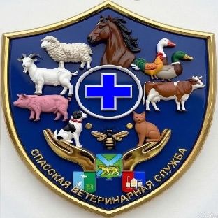 Иконка канала КГБУ "Спасская ВСББЖ"