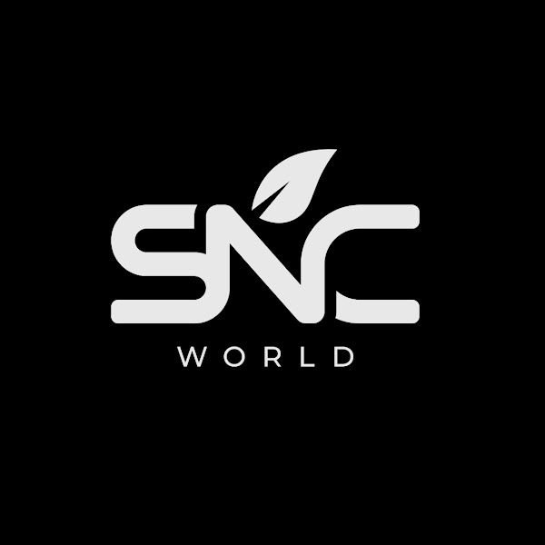 Иконка канала SNC.world