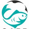 Иконка канала CarpTravel