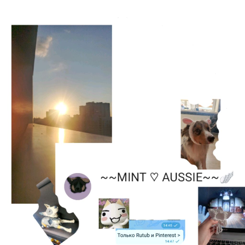 Иконка канала ~~MINT ♡ ⁠AUSSIE~~🪽