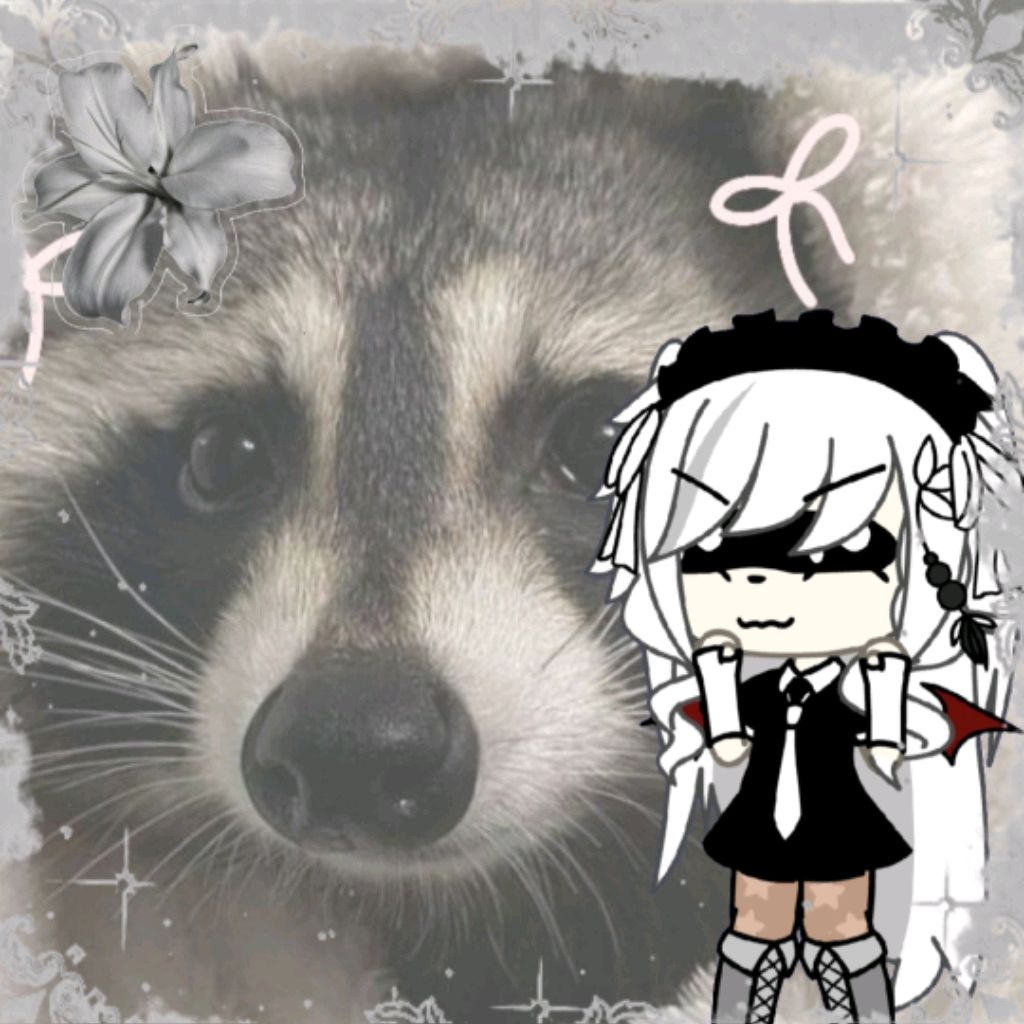 Иконка канала #𝓔𝓷𝓸𝓽𝓲𝓴🦝