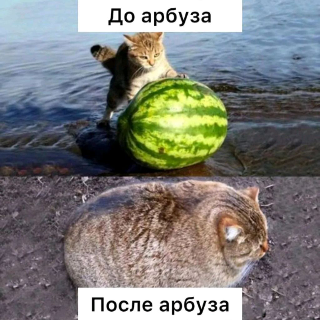 Иконка канала Лука Модрич