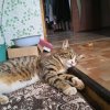 Иконка канала Клипы И Песни