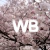 Иконка канала ɯⲕ𐔖᥈ьⲏыύ ᥕb