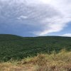 Иконка канала Масло