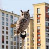 Иконка канала СОВа Недвижимость Пермь