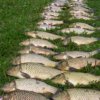 Иконка канала channel31491367