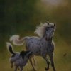 Иконка канала •🐾∆Paws and Hooves∆🐎•