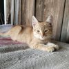 Иконка канала Южный 555