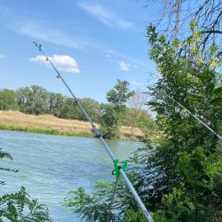 Иконка канала GENFISH61
