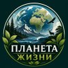Иконка канала Планета Жизни