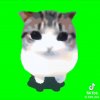 Иконка канала Китюня Влог😻😻😻👑👑🔥