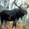 Иконка канала Поездки по Твери и области