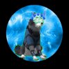 Иконка канала Toko Wolf 2.0