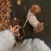 Иконка канала ˙˚⁎𖦹αѕhlєy!⁎*: ･ﾟ