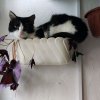 Иконка канала Лукоморье