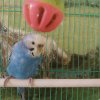 Иконка канала Mico