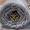 Иконка канала Юля:3
