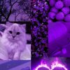 Иконка канала VIOL💜♠️😈