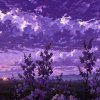 Иконка канала Девочки девчёнки