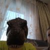 Иконка канала Дино Чел