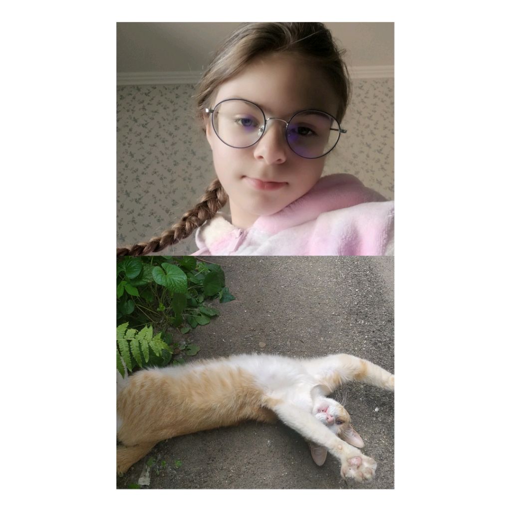Иконка канала Коты, собака, рыбки и Саша ❤️
