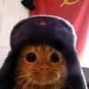 Иконка канала channel49556389