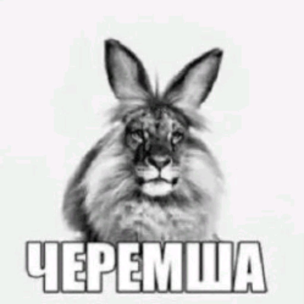 Иконка канала Cheremsha