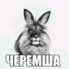 Иконка канала Cheremsha