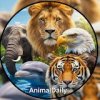 Иконка канала Мир Диких Животных