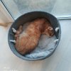Иконка канала Тимуряца
