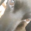 Иконка канала MEGA_DOG²²⁸