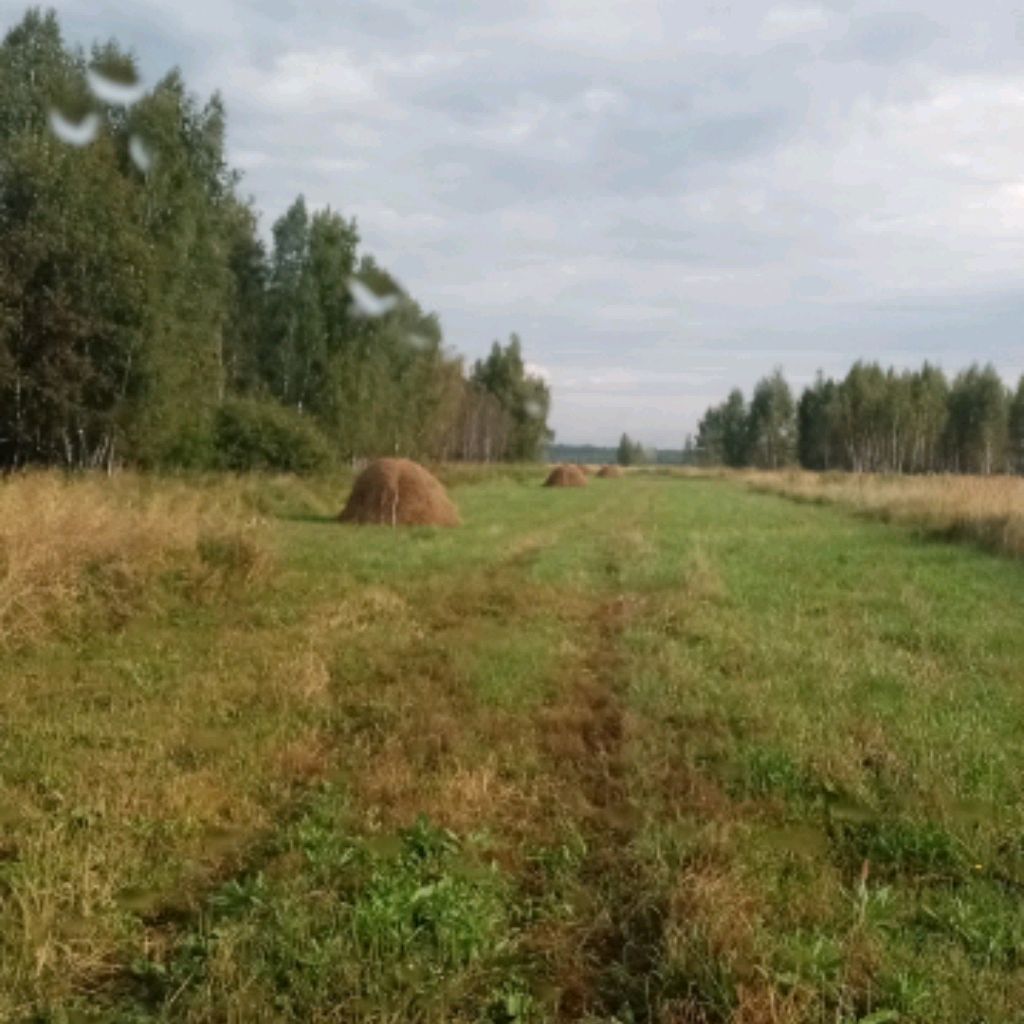 Иконка канала Пифпаф