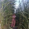 Иконка канала Алиса в стране без чудес