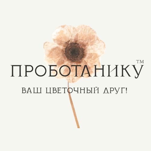 Иконка канала ПРОБОТАНИКУ | Ваш цветочный друг!