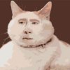 Иконка канала AMOGUS