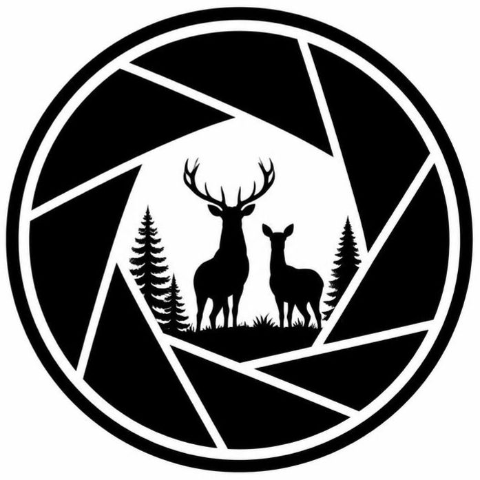 Иконка канала ECOZOOM WILDLIFE