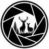 Иконка канала ECOZOOM WILDLIFE