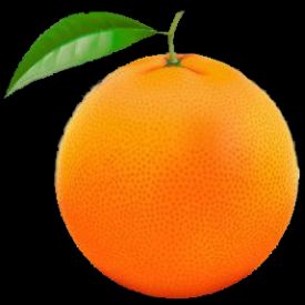 Иконка канала Orange_City_Auto