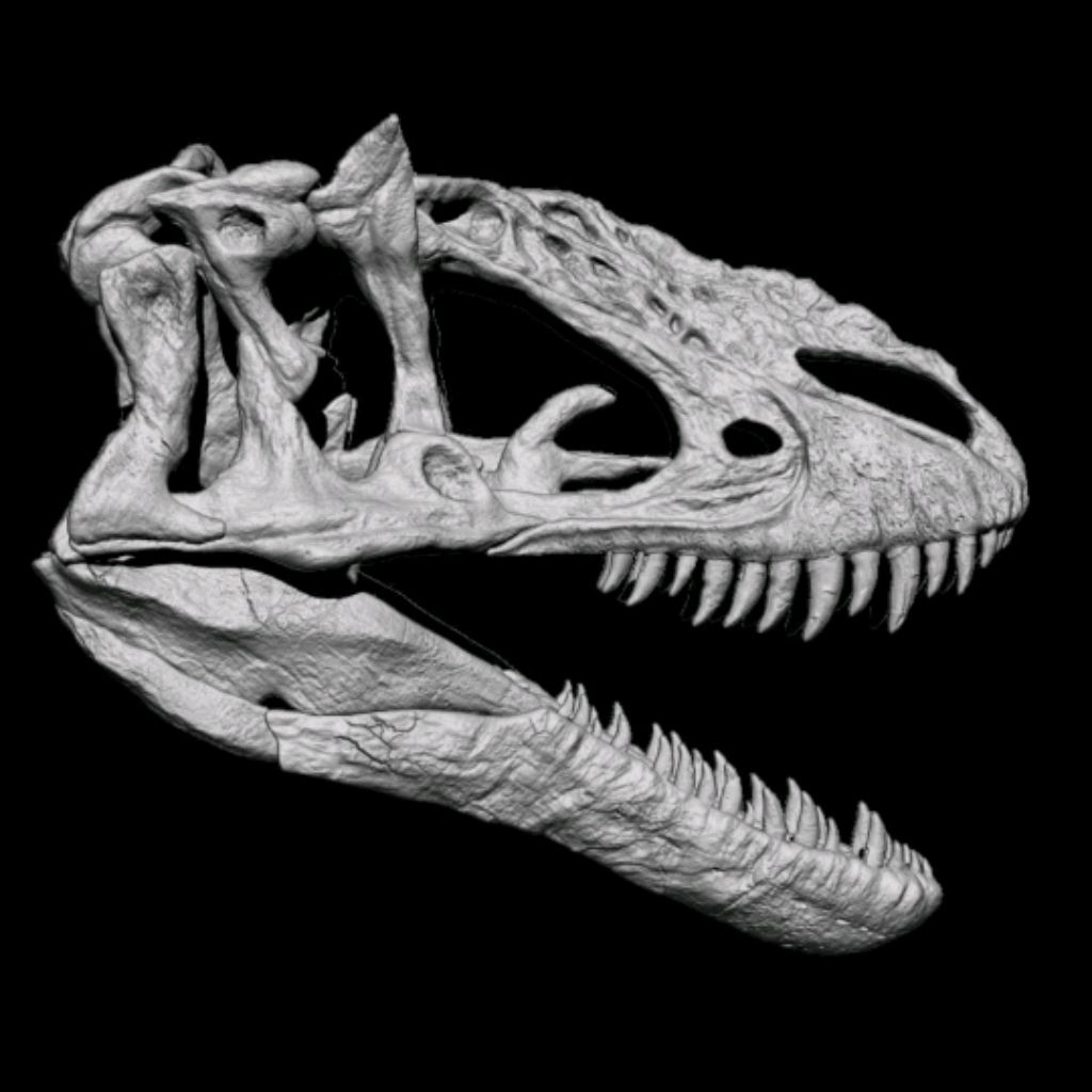 Иконка канала DARK JURASSIC