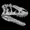 Иконка канала DARK JURASSIC