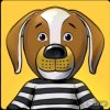 Иконка канала Чичис