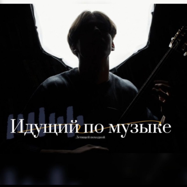 Иконка канала Идущий по Музыке