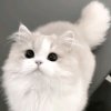 Иконка канала Kit | Boy | Blog
